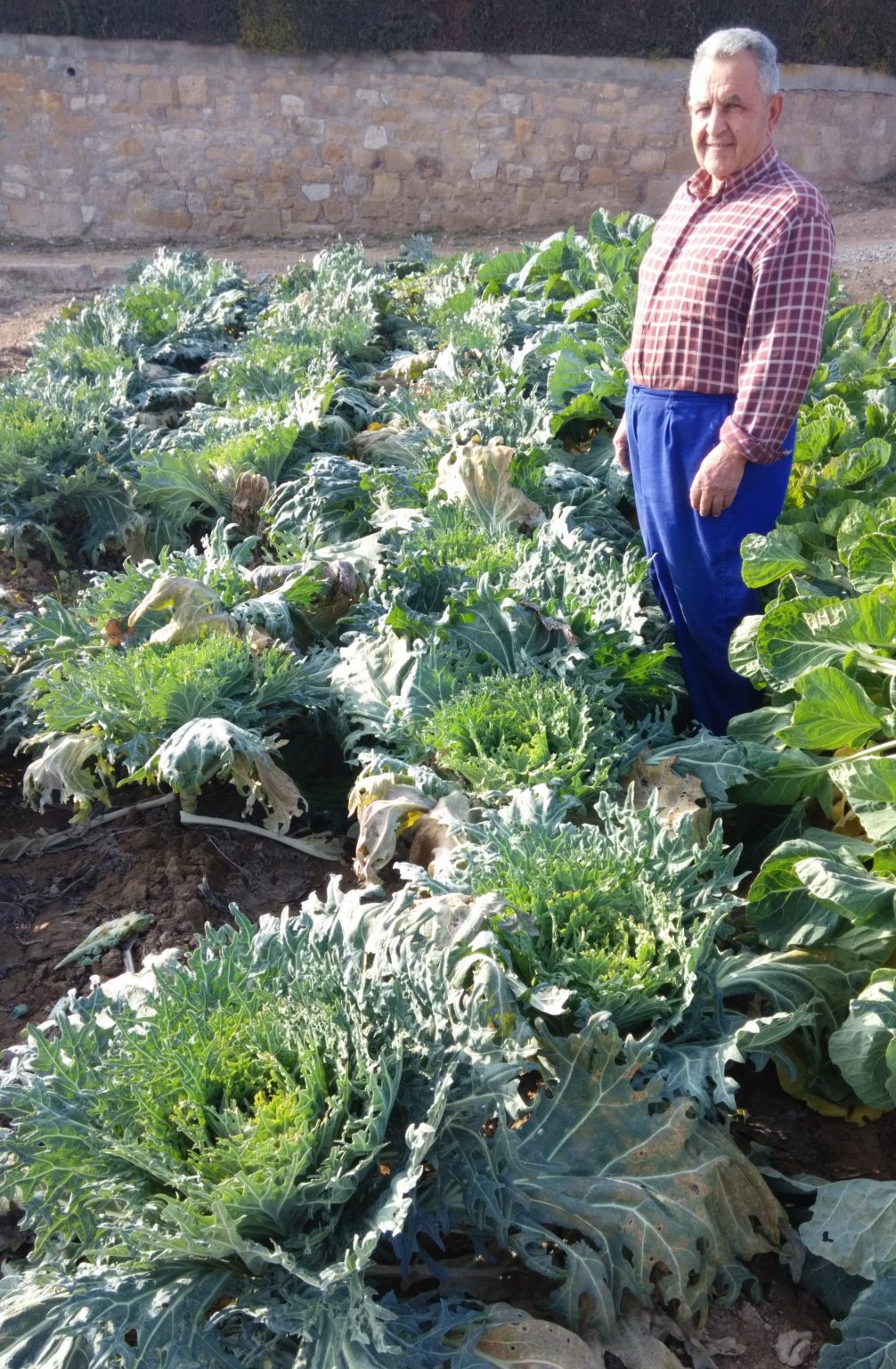 Alimentacion del Presente | COL REPICOTEAU DE CASPE