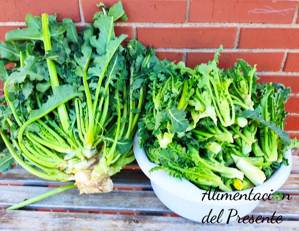 Alimentacion del Presente | BRÓQUIL PELLAO, HIJADO, HIJUDO DE HUESCA